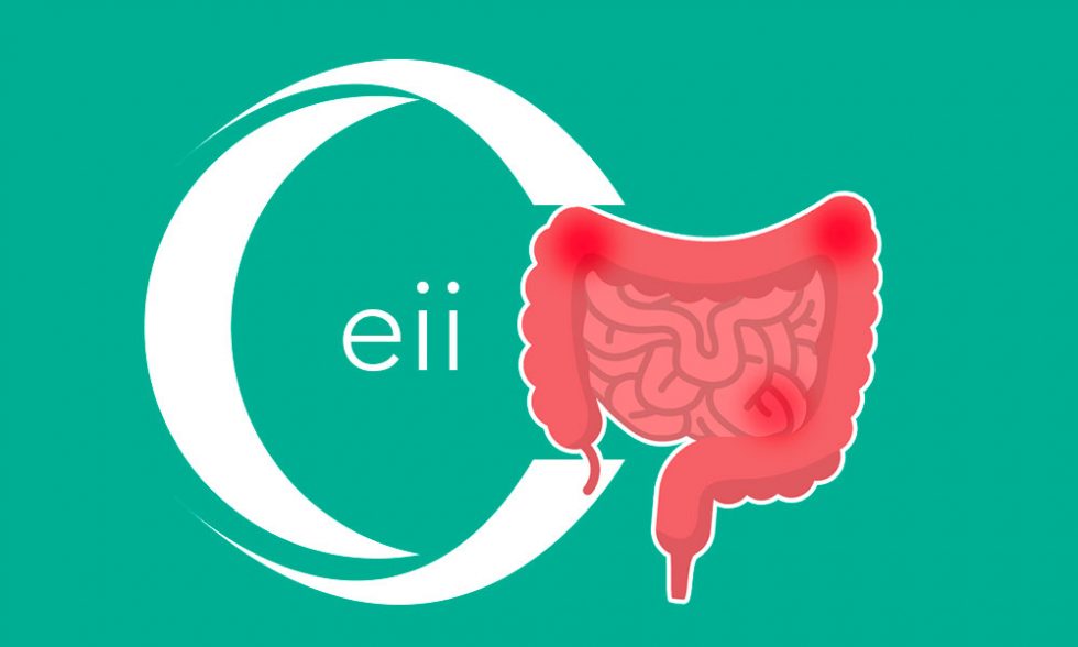 Certificación CUE eii - Servicio Aparato Digestivo Hospital de Tomelloso