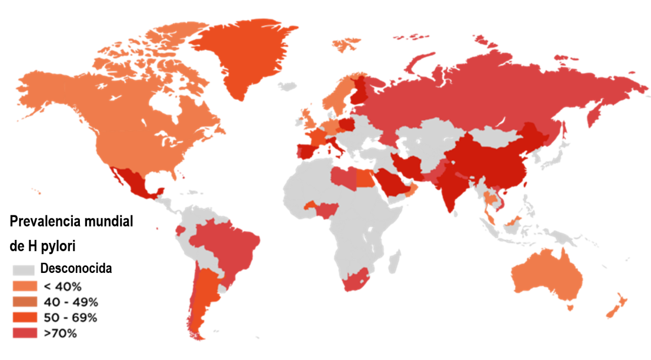 Infección por HELICOBACTER PYLORI - Servicio Aparato Digestivo Hospital ...